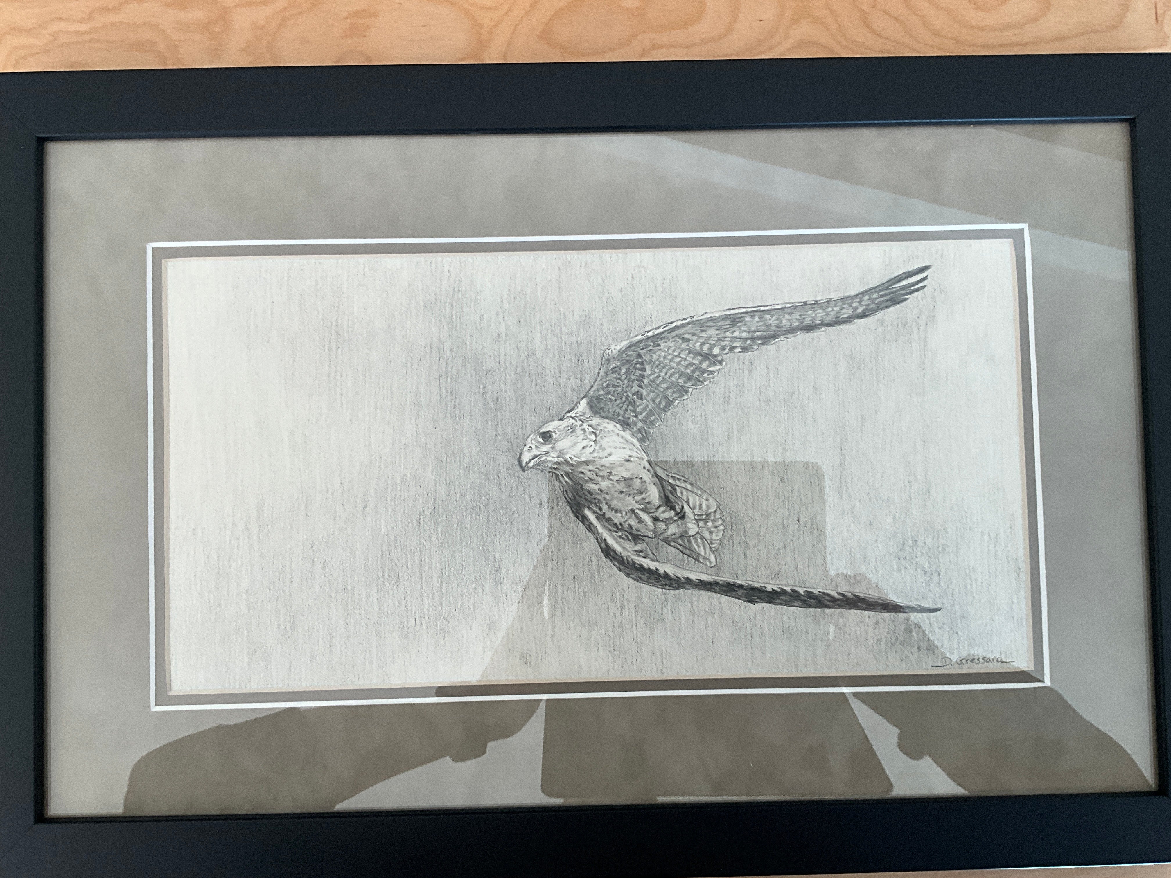 Pierian- Prairie Falcon – The Sword and Shovel