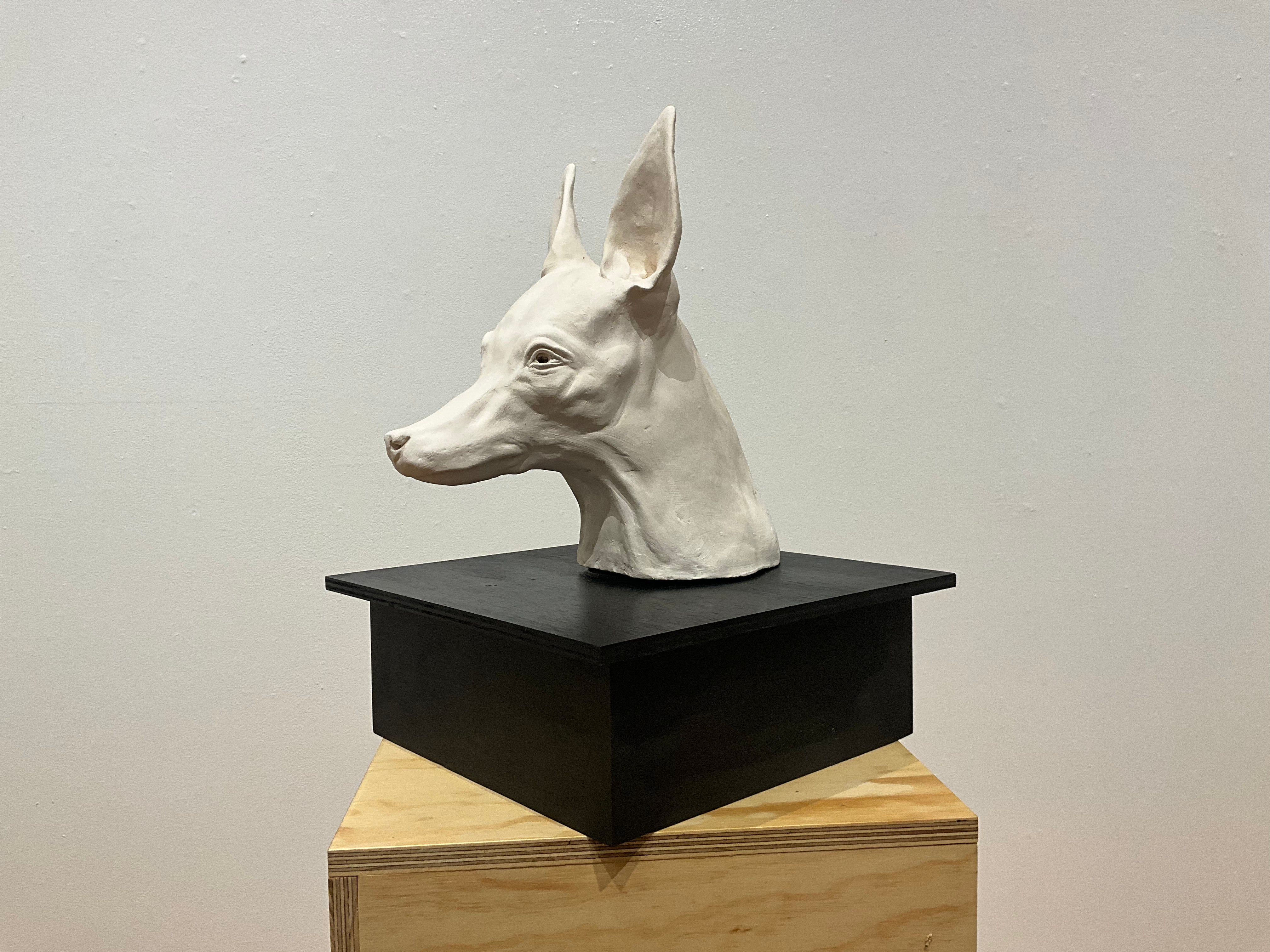 Dog – The Sword and Shovel